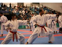 2013 Malta Open International Karate Championships